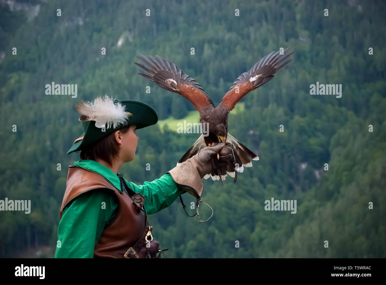 Falconer in Castle Werfen Stock Photo - Alamy