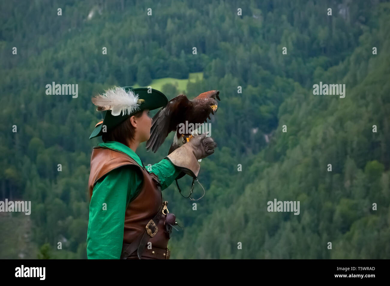 Falconer in Castle Werfen Stock Photo - Alamy