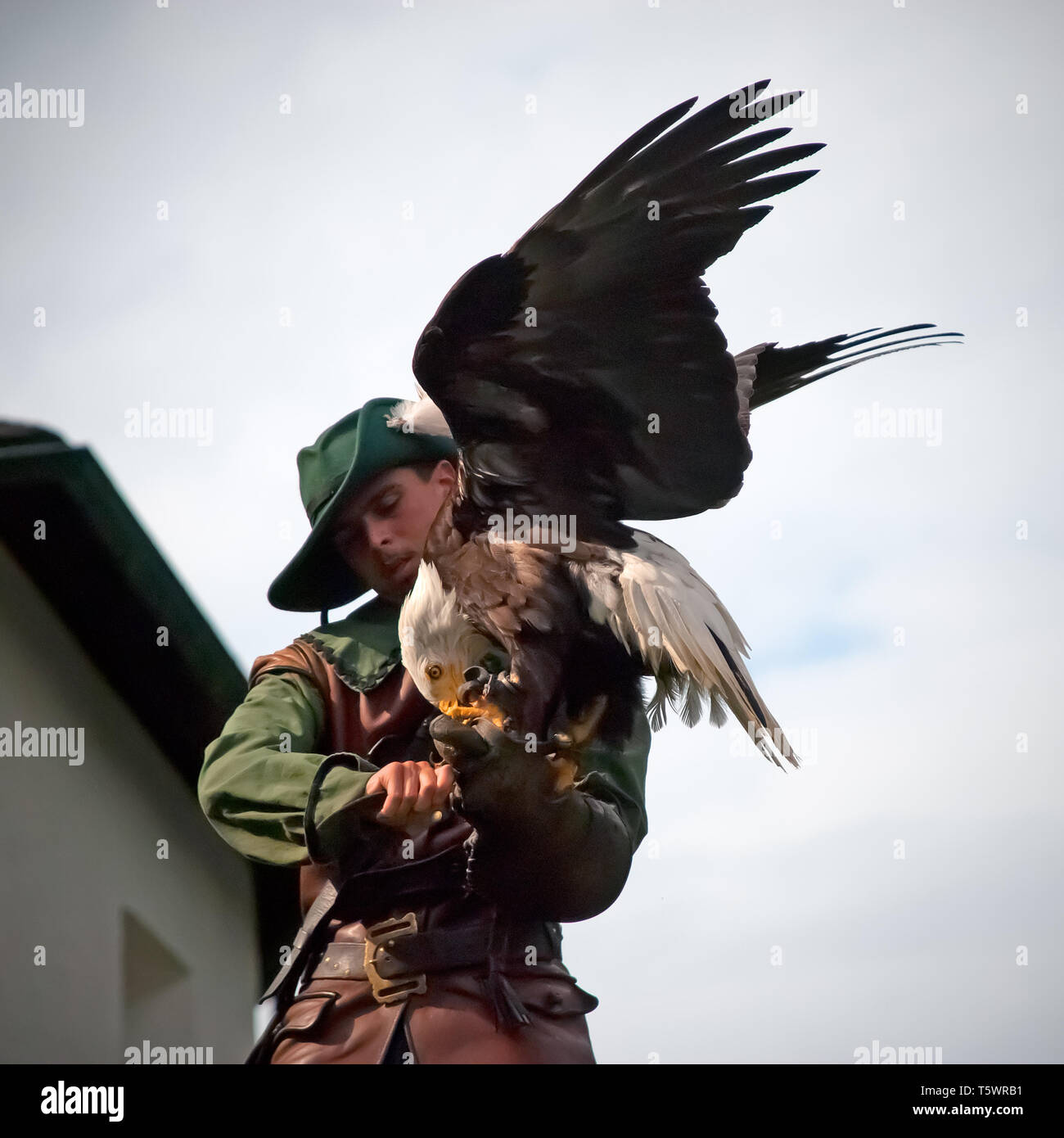 Falconer in Castle Werfen Stock Photo - Alamy