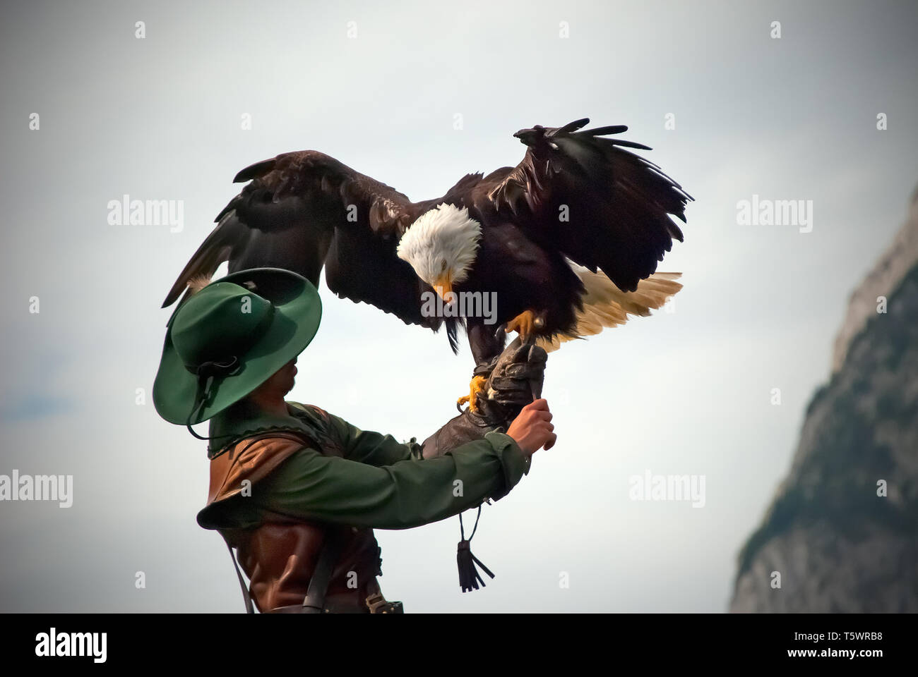 The falconer hi-res stock photography and images - Alamy