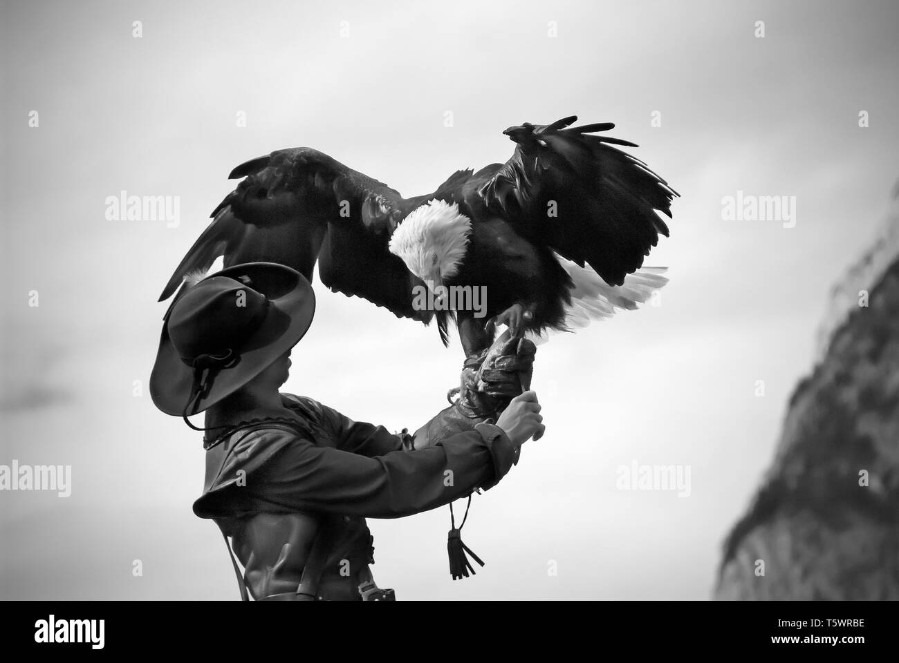 Panorama park castle in Black and White Stock Photos & Images - Alamy