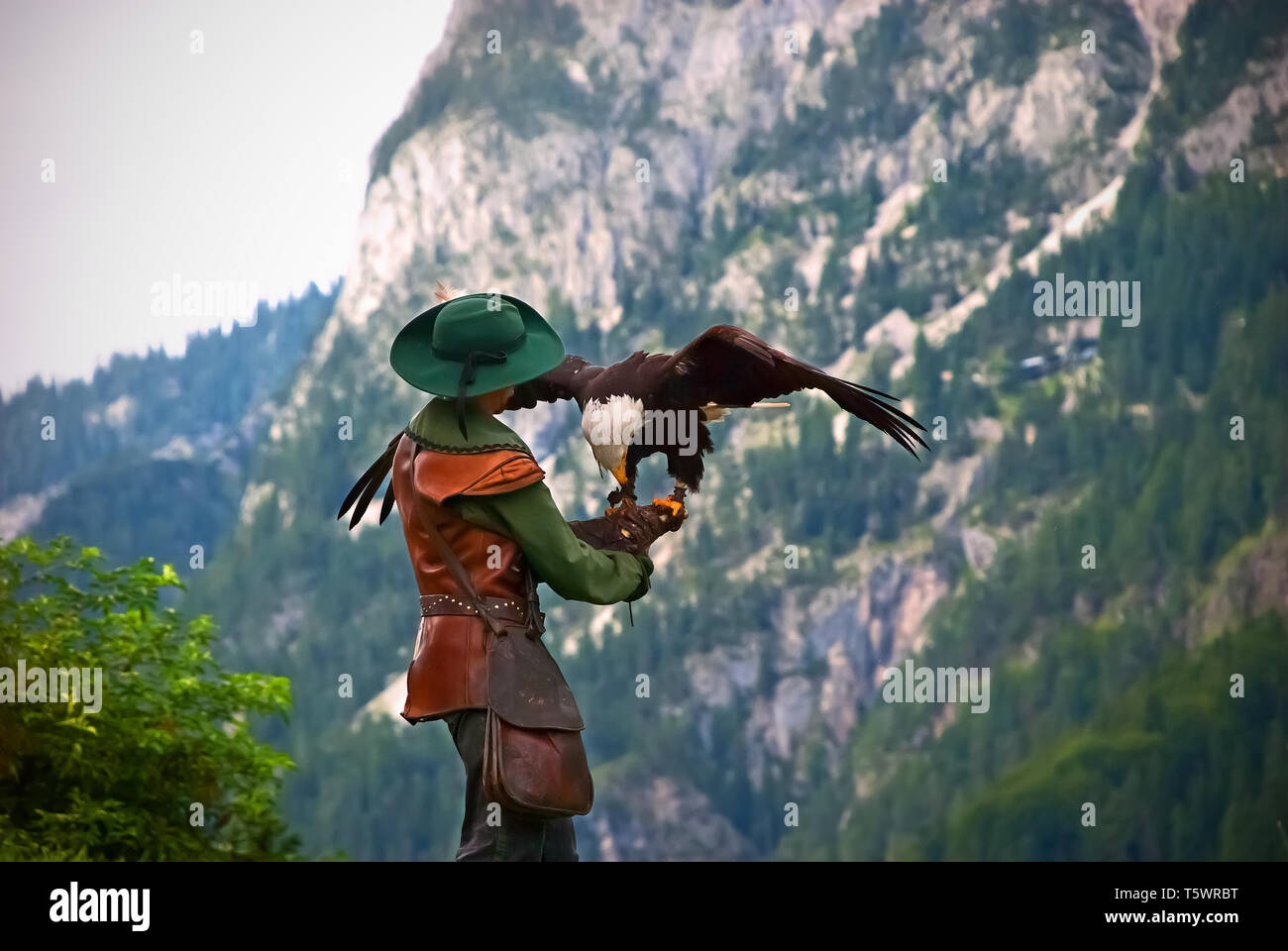 Falconer in Castle Werfen Stock Photo - Alamy