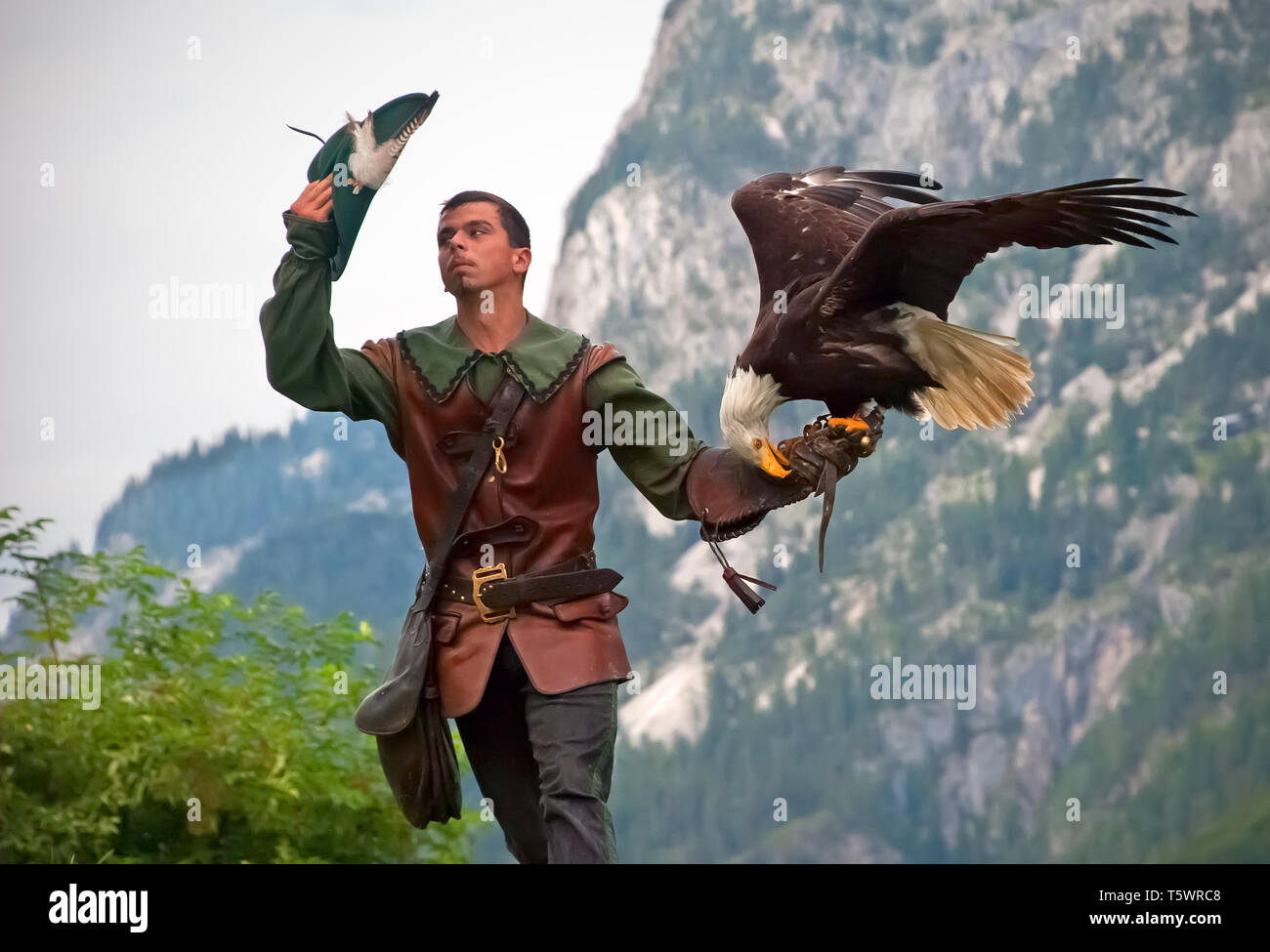 The falconer hi-res stock photography and images - Alamy