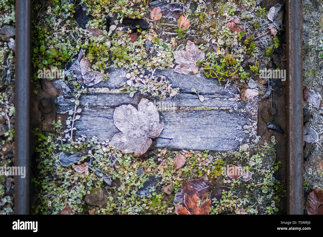 Winter is Coming! Stock Photo - Alamy