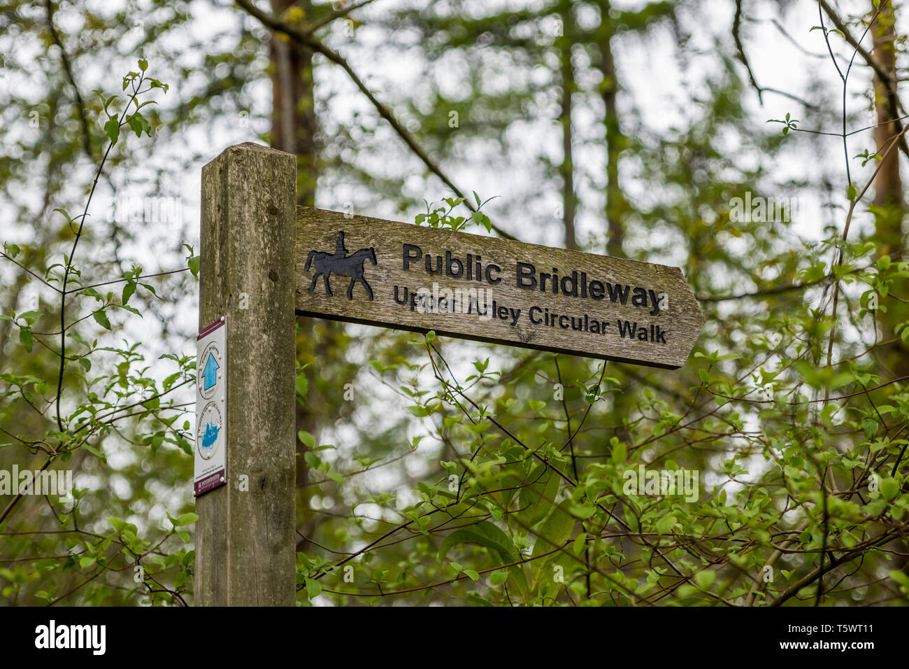 Wooden Public Bridleway sign on post isolated outdoors in UK woodland ...