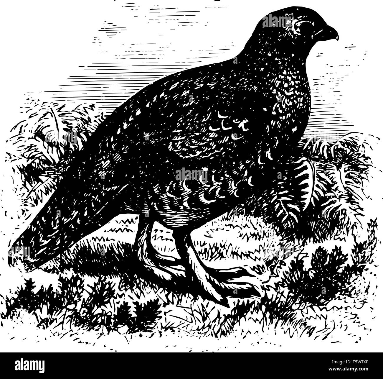 14 game Black and White Stock Photos & Images - Alamy