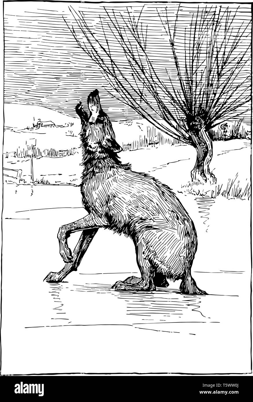 Reynard the Fox: Tricking Ereswine at the Lake this scene shows tail of ...