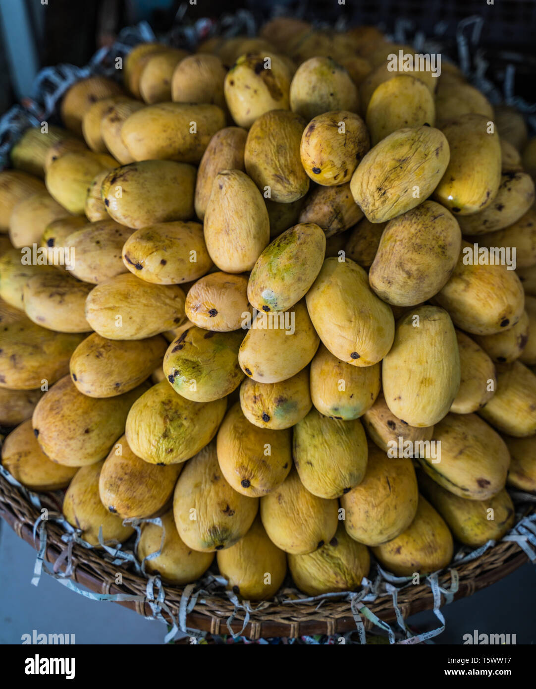 mango fruits in thailand Stock Photo - Alamy