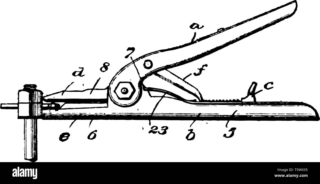 Wedge shaped head Cut Out Stock Images & Pictures - Alamy