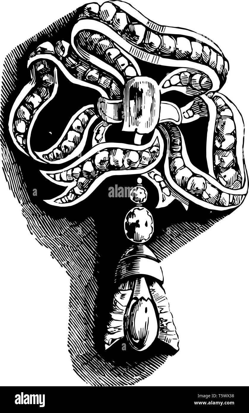 Engraved ribbon Stock Vector Images - Alamy