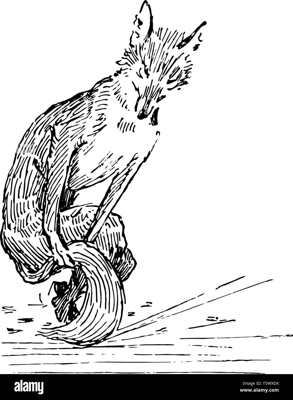 Reynard the Fox: Covering the Treasure this scene shows a fox holding ...