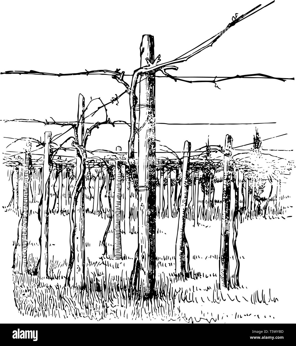 Barb Wire Cross Drawing