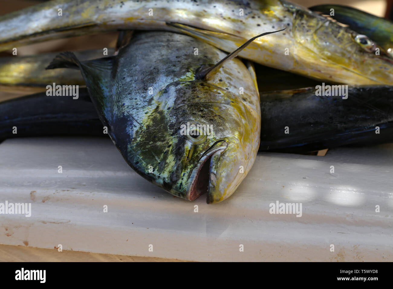 Big thai fishing boat sea hi-res stock photography and images - Alamy