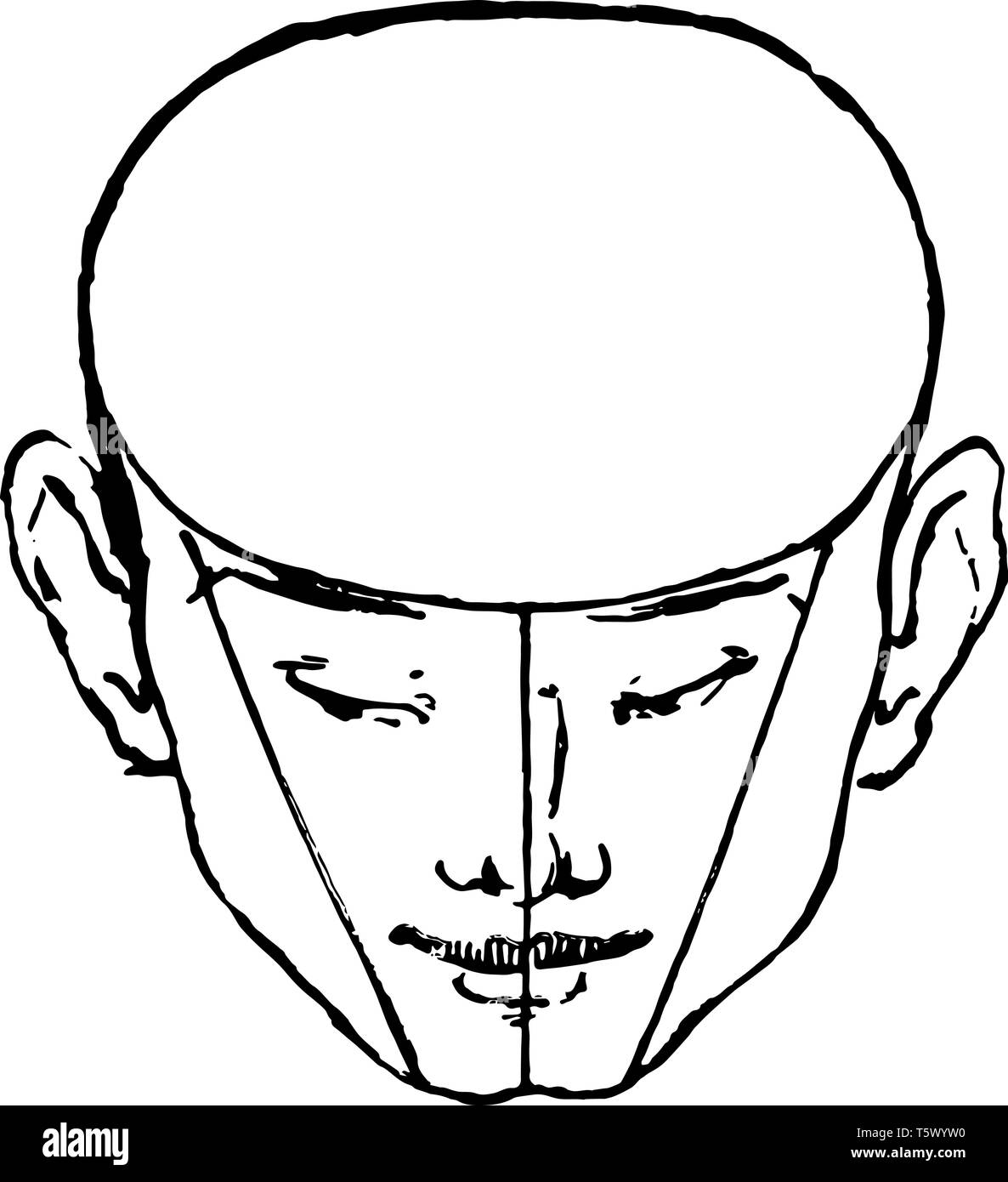 Bald head Stock Vector Images - Alamy