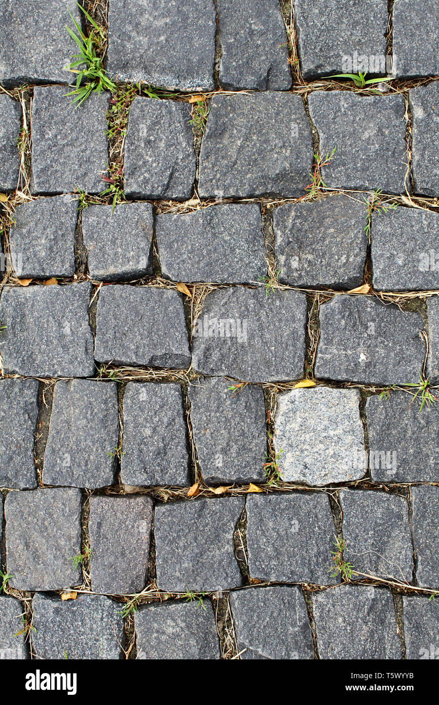 Paving stones texture Stock Photo - Alamy