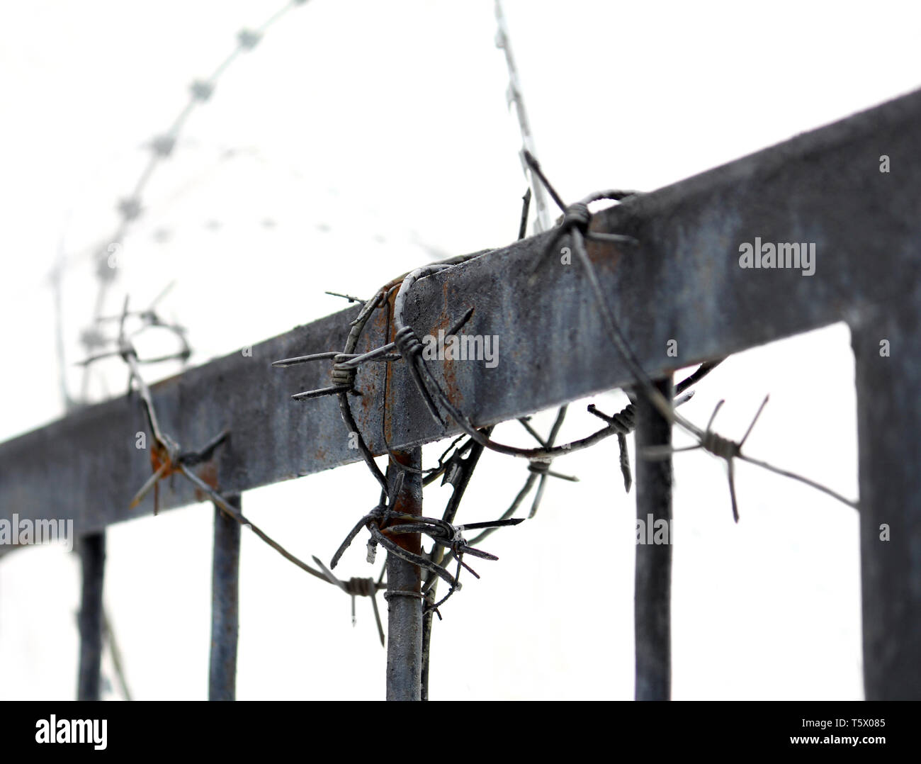 Razor wire metal mesh fence hi-res stock photography and images - Alamy