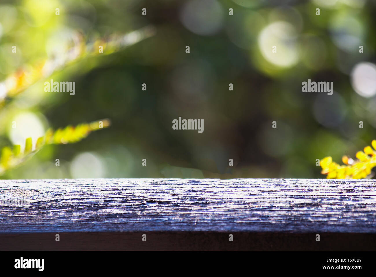 Design key visual layout hi-res stock photography and images - Alamy