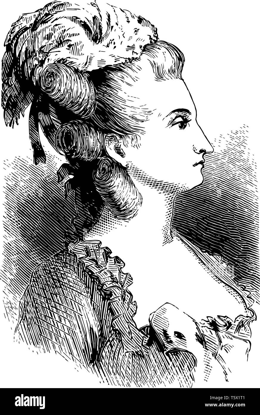 1744 illustration Stock Vector Images - Alamy