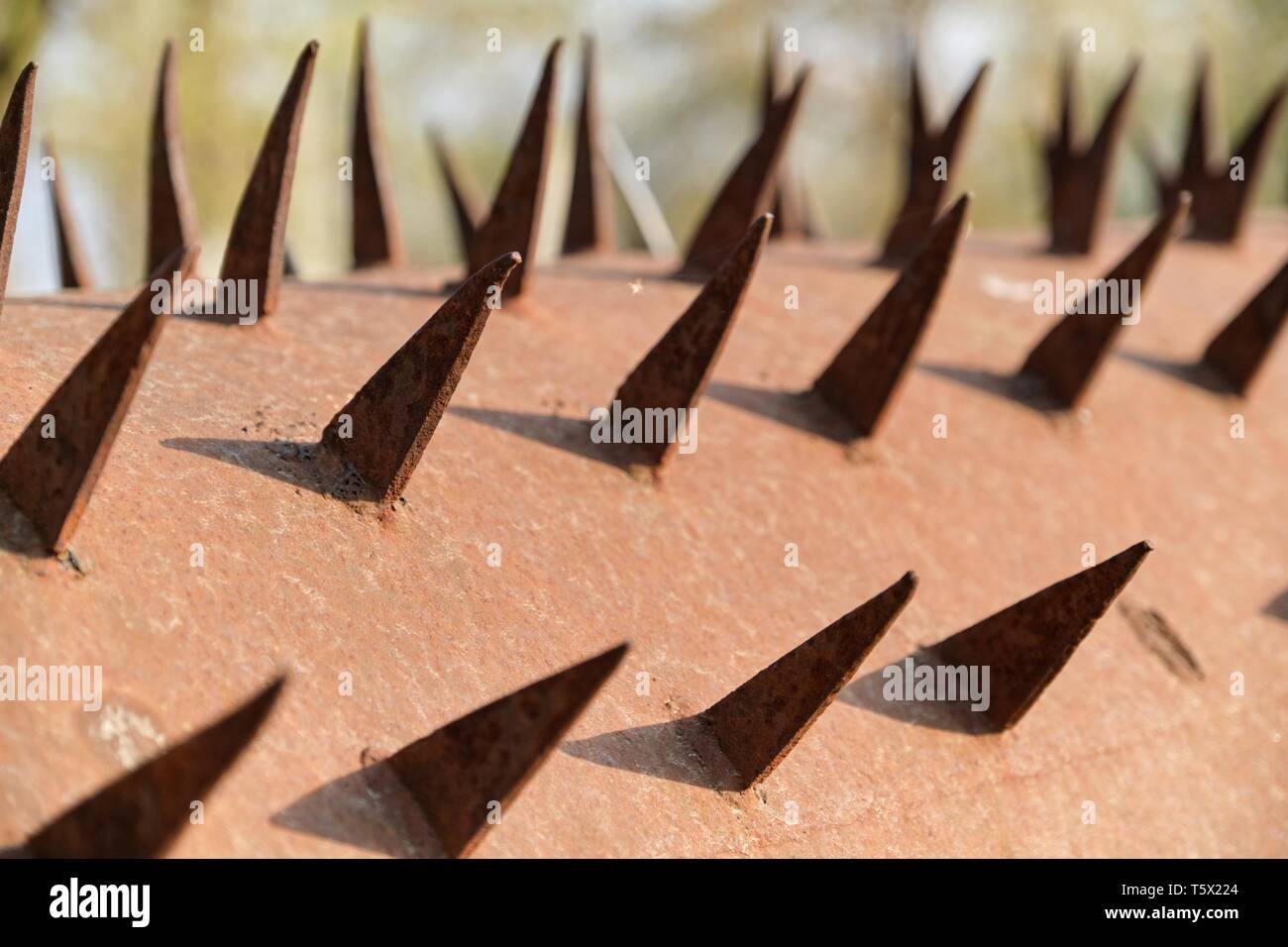 Spiked texture hi-res stock photography and images - Alamy