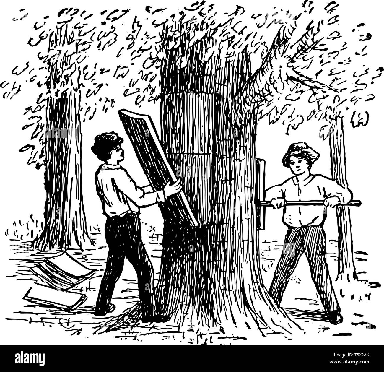 Cork layer Black and White Stock Photos & Images - Alamy