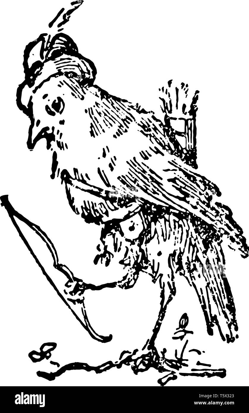 The Death and Burial of Robin this scene shows a bird in hat and ...