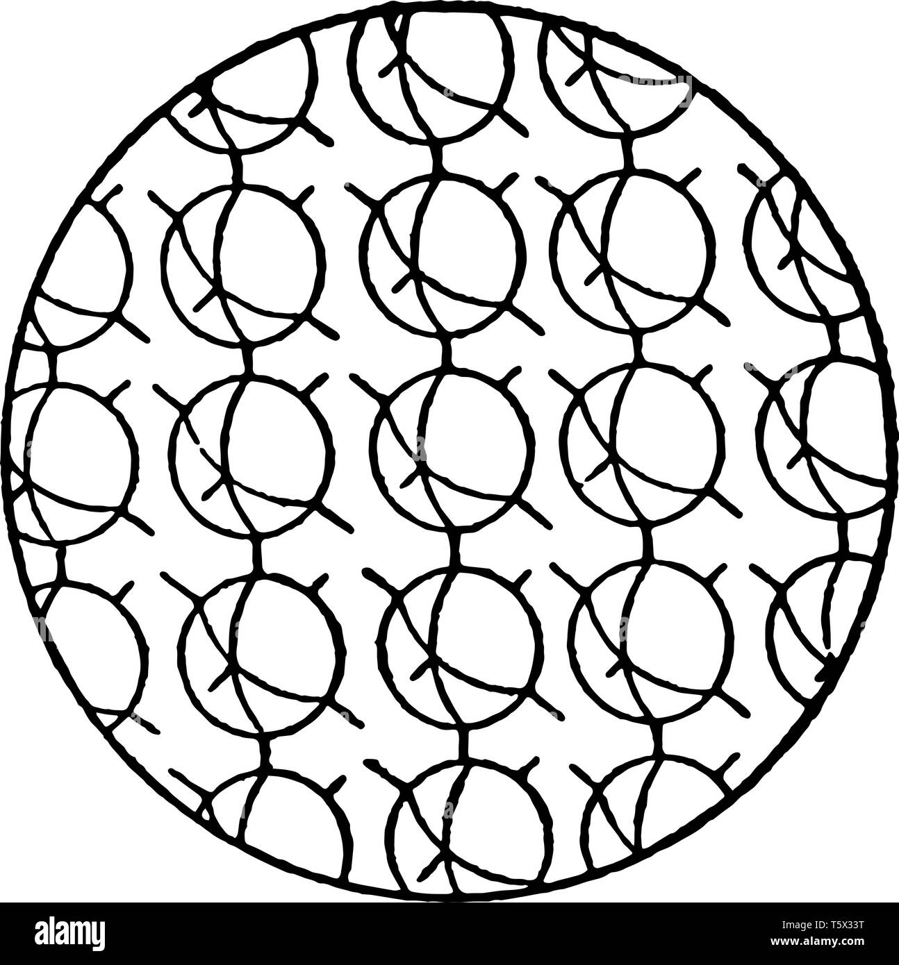 This diagram represents Orientation of Molecules in a Solid, vintage ...
