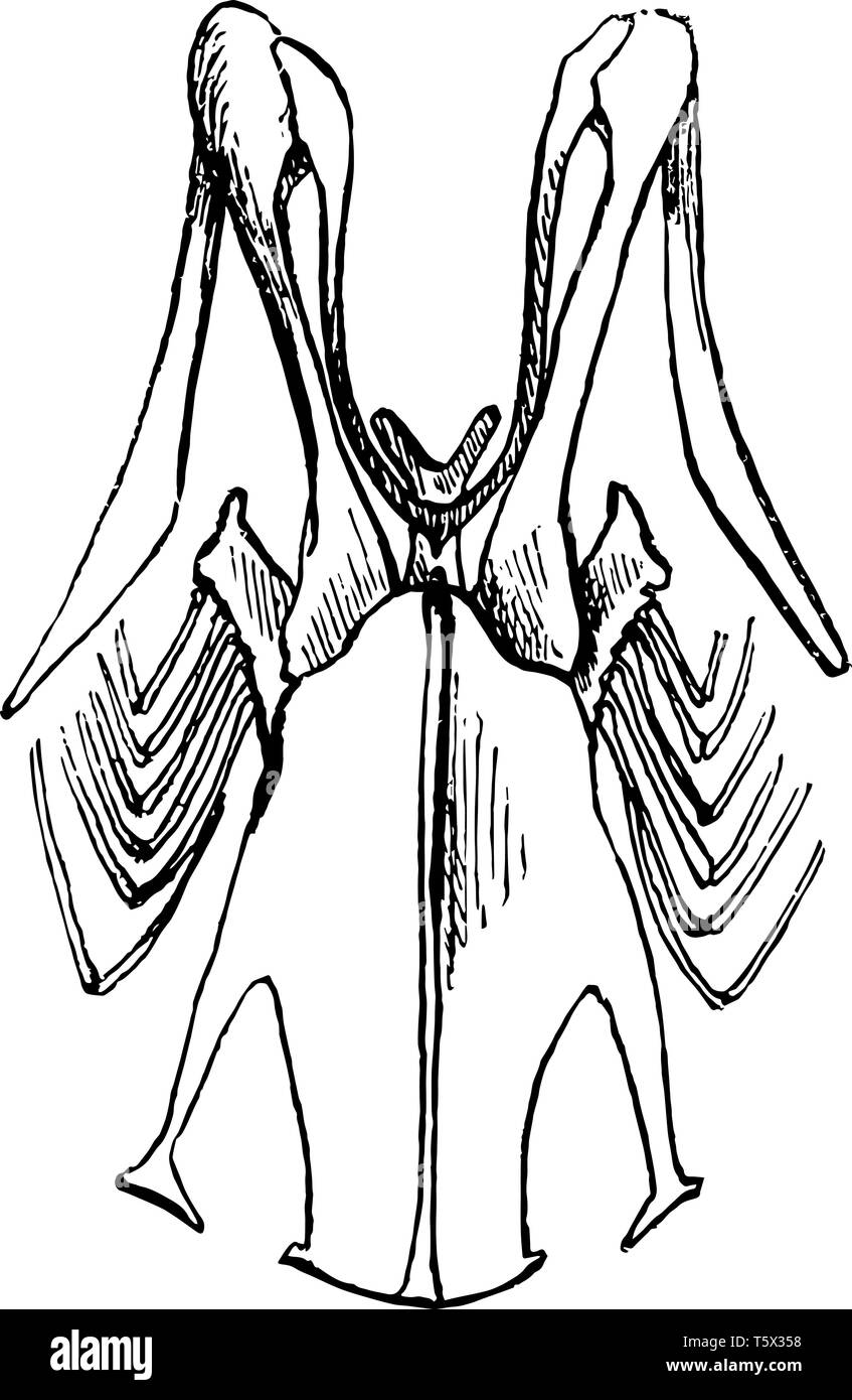 Prominent processes Black and White Stock Photos & Images - Alamy