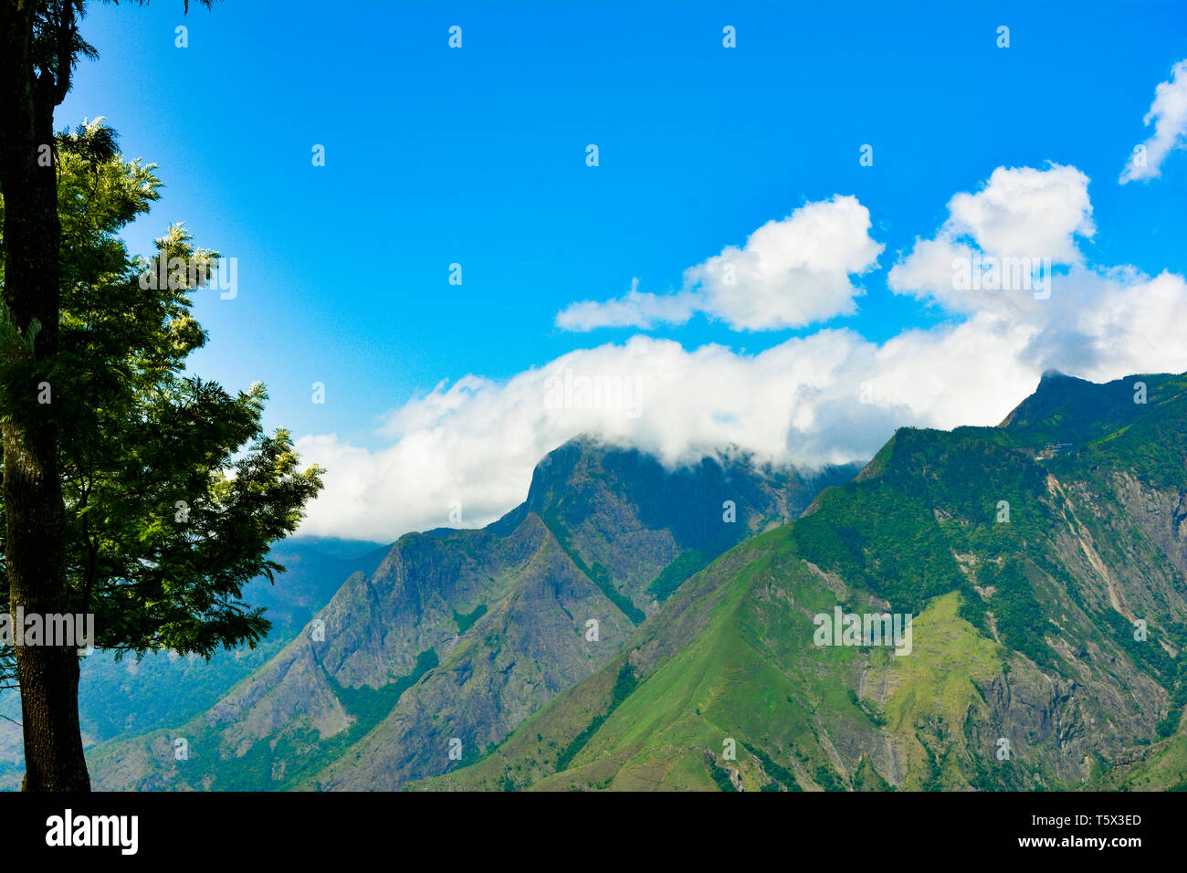 Beauty munnar hi-res stock photography and images - Alamy