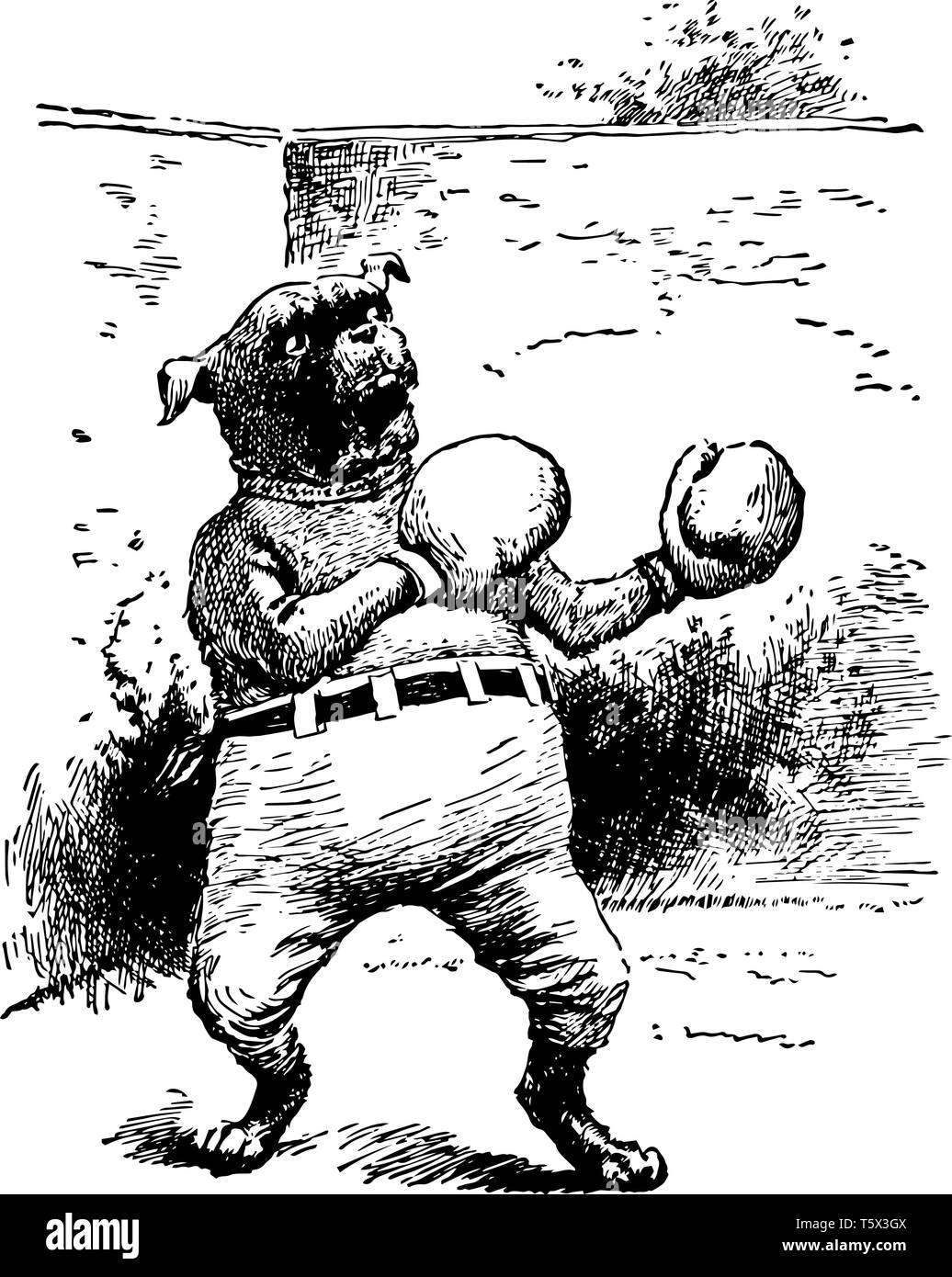 Vintage boxing engraving hi-res stock photography and images - Alamy