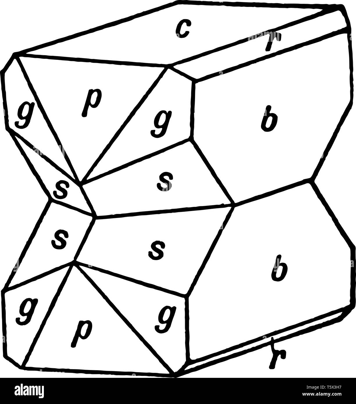 This diagram represents Supplementary Twin and formed from two ...