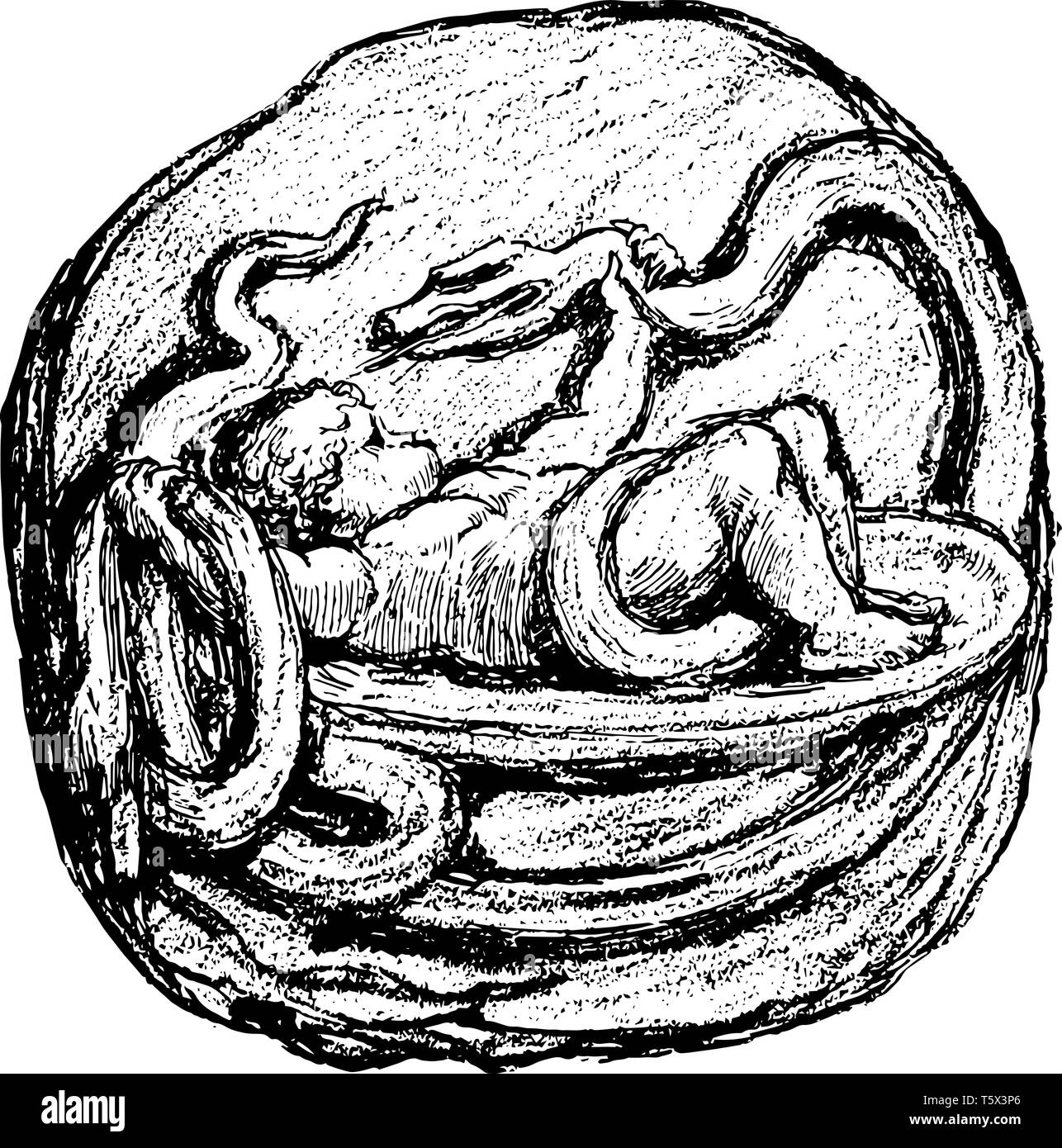 A baby holding snake in hands vintage line drawing or engraving ...