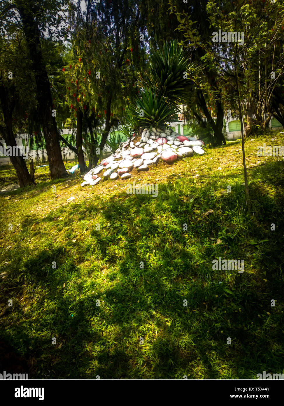 plants and trees in boundary in a garden Stock Photo - Alamy