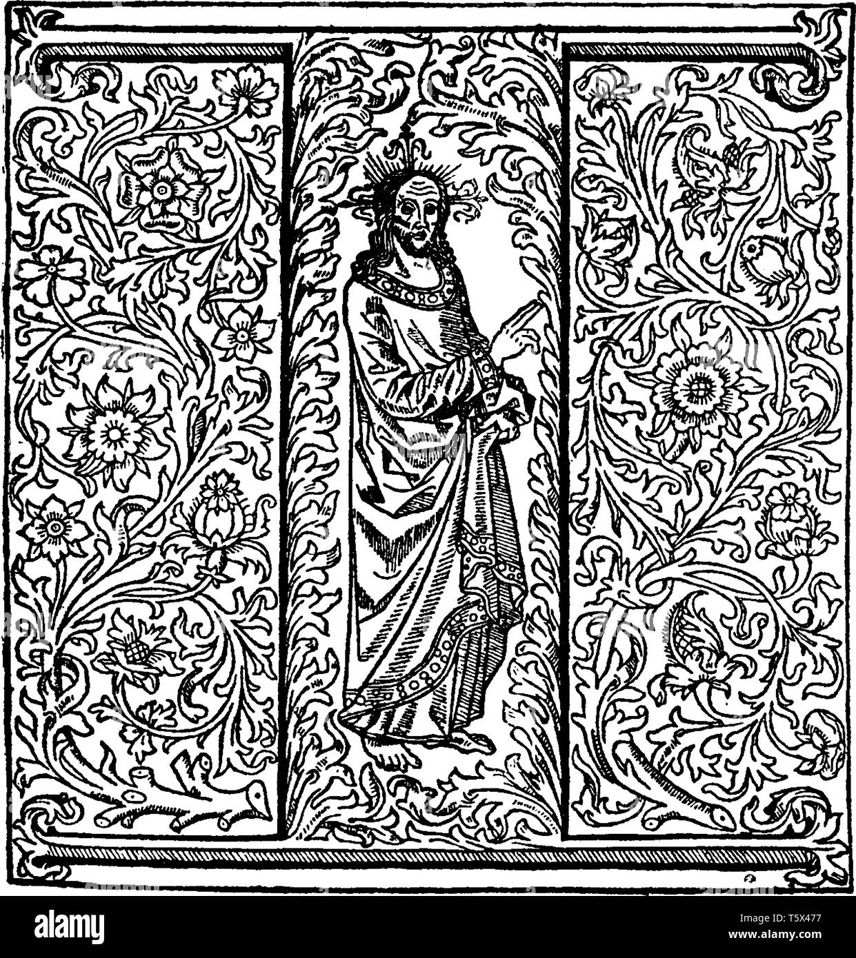 Line of vines Black and White Stock Photos & Images - Alamy