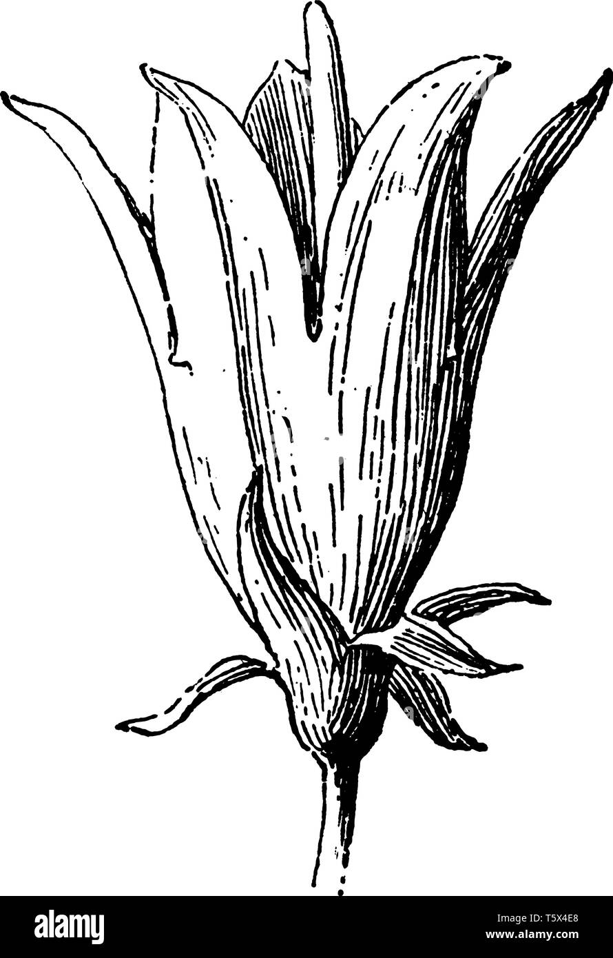 Looks alone Black and White Stock Photos & Images - Alamy