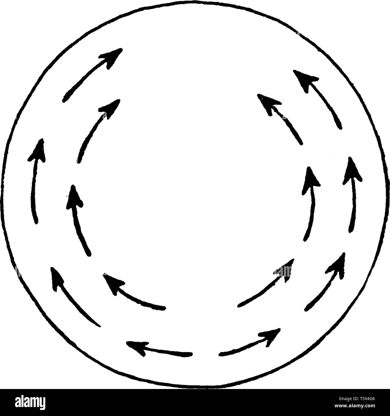 In this image showing a water flow in plants. The diagram show how to ...