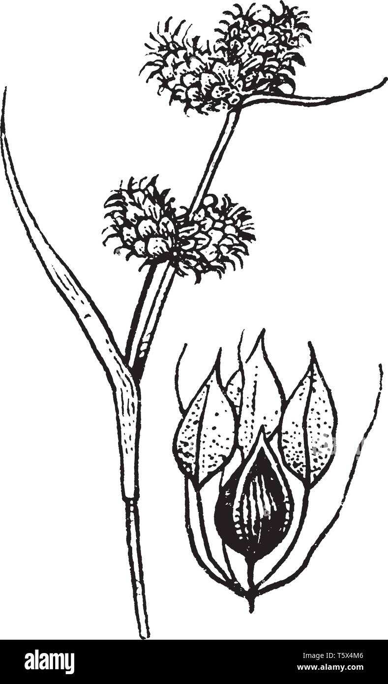 Bearing showing Cut Out Stock Images & Pictures - Alamy