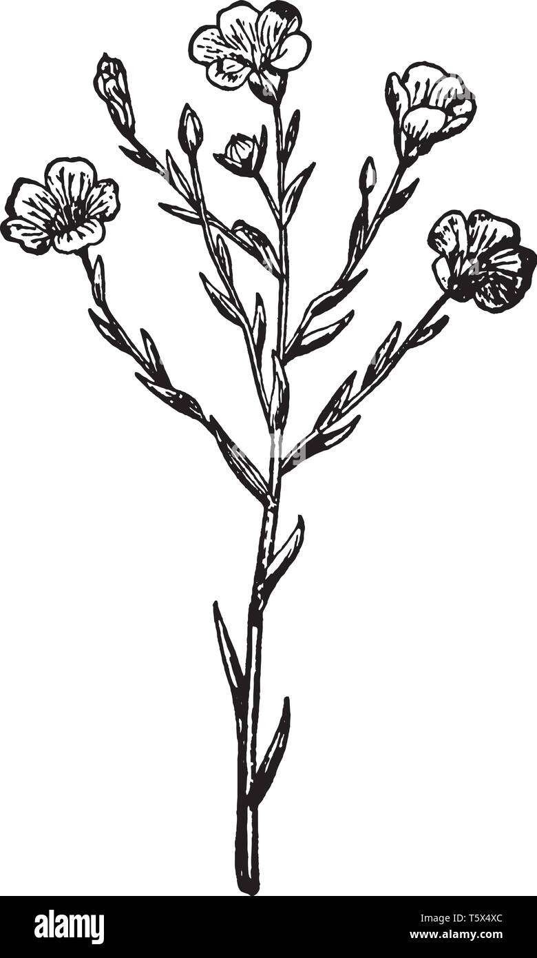 Parts of the world known Stock Vector Images - Alamy