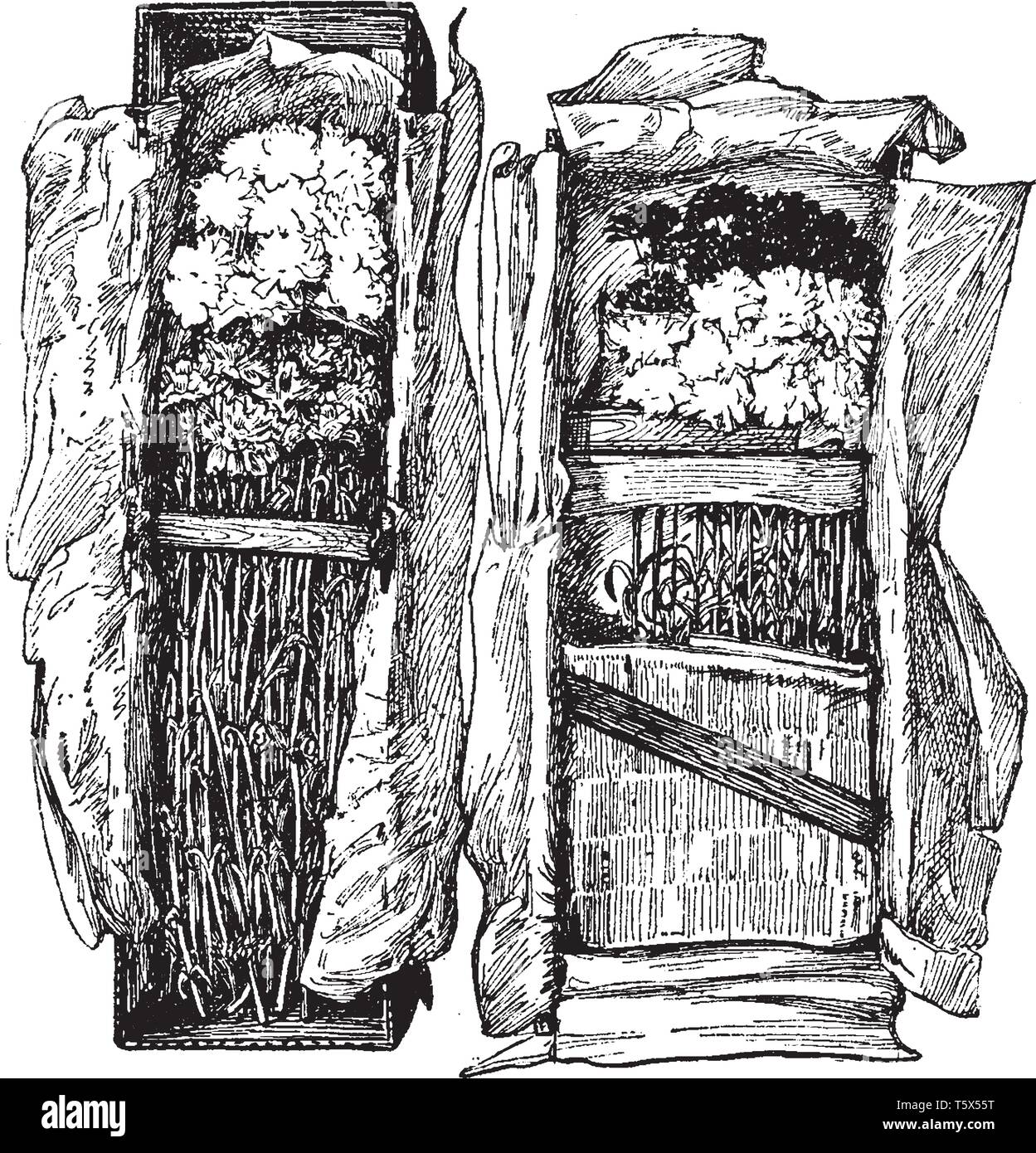 Fiberboard Stock Vector Images - Alamy