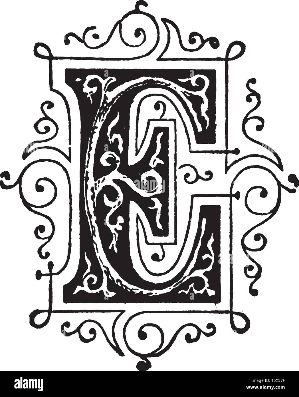 An ornamental capital letter E, vintage line drawing or engraving ...