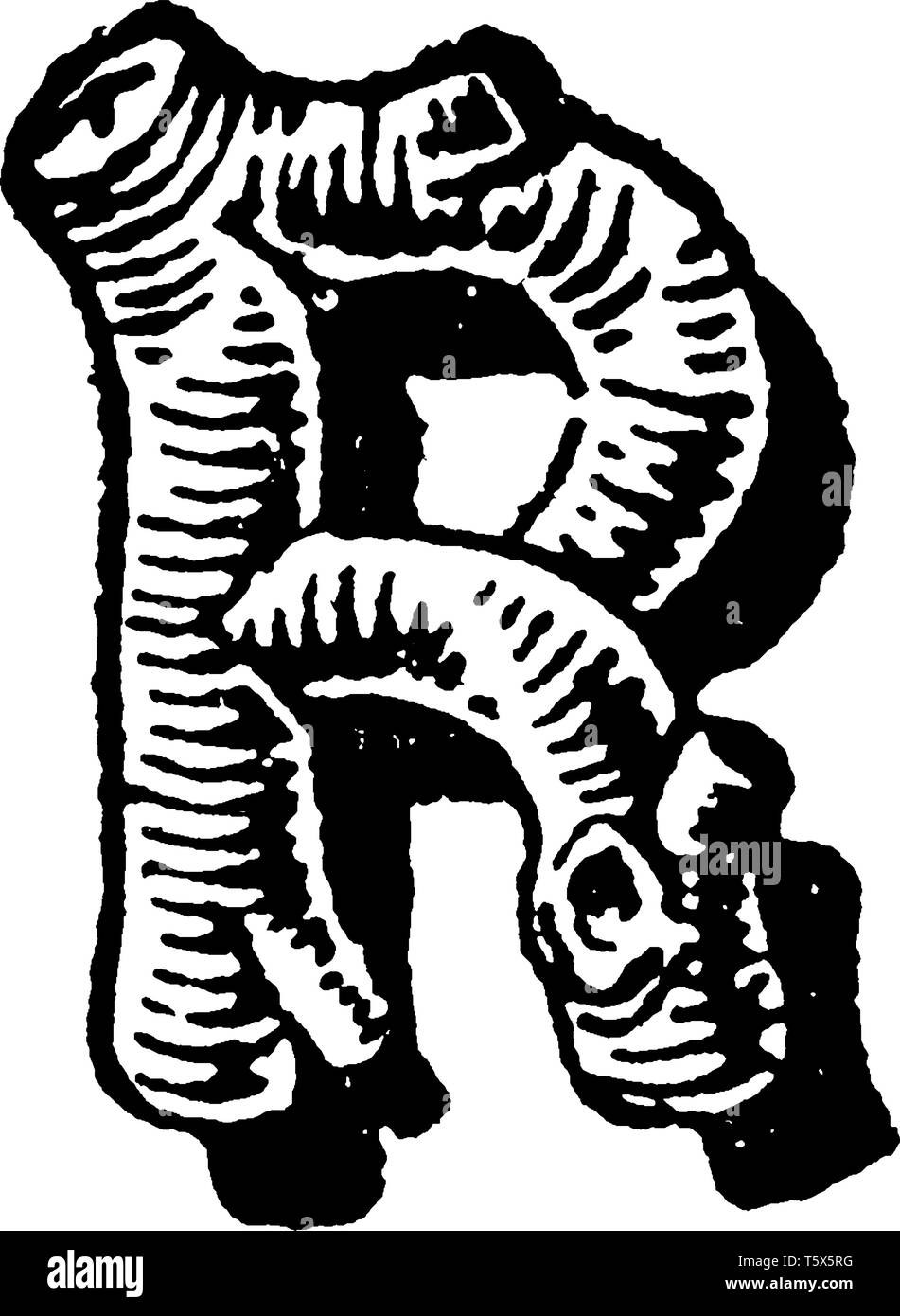 A letter R in rustic letter design, vintage line drawing or engraving ...
