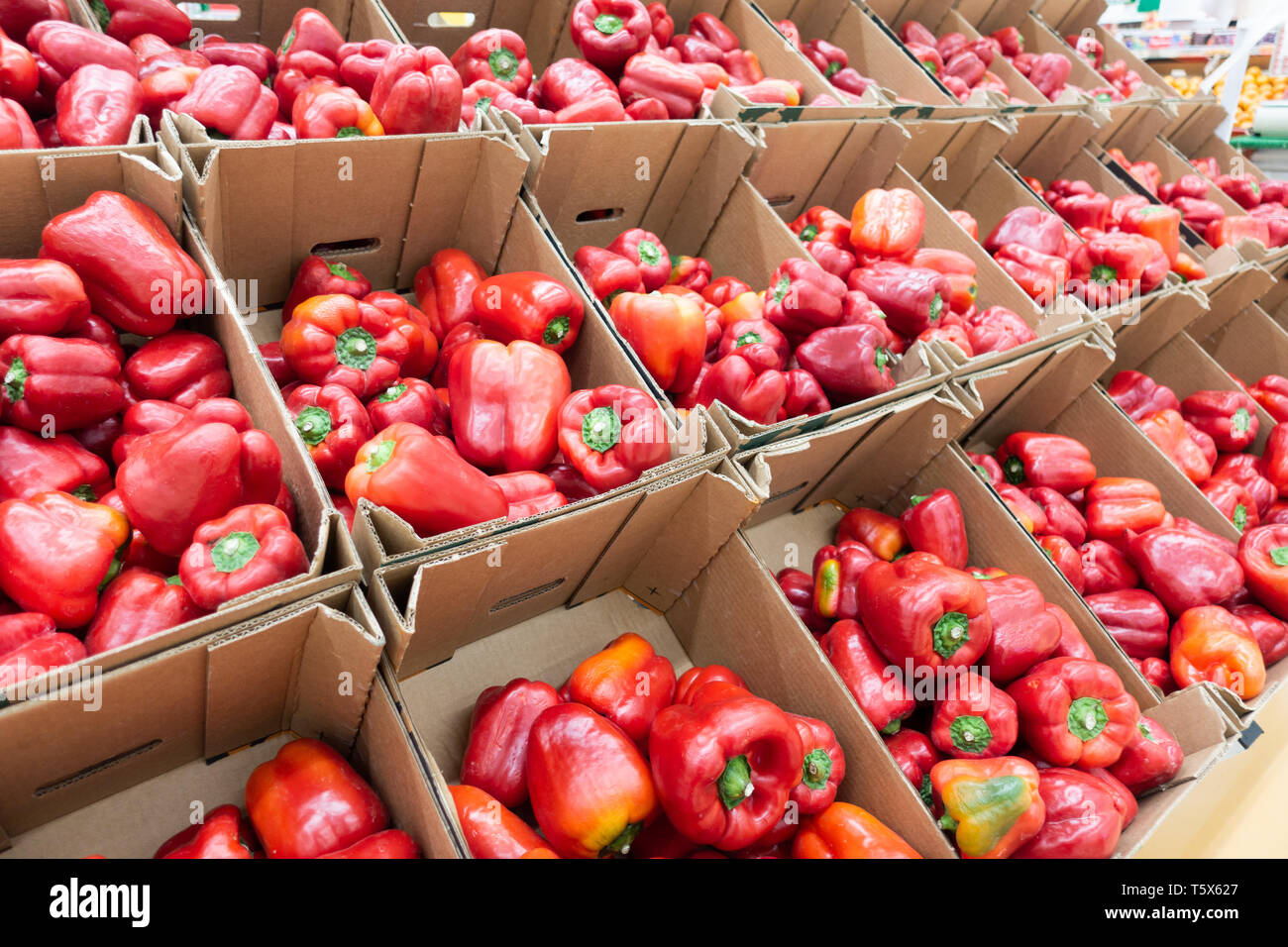 Fresh red pepper harvest close up on the market Stock Photo - Alamy