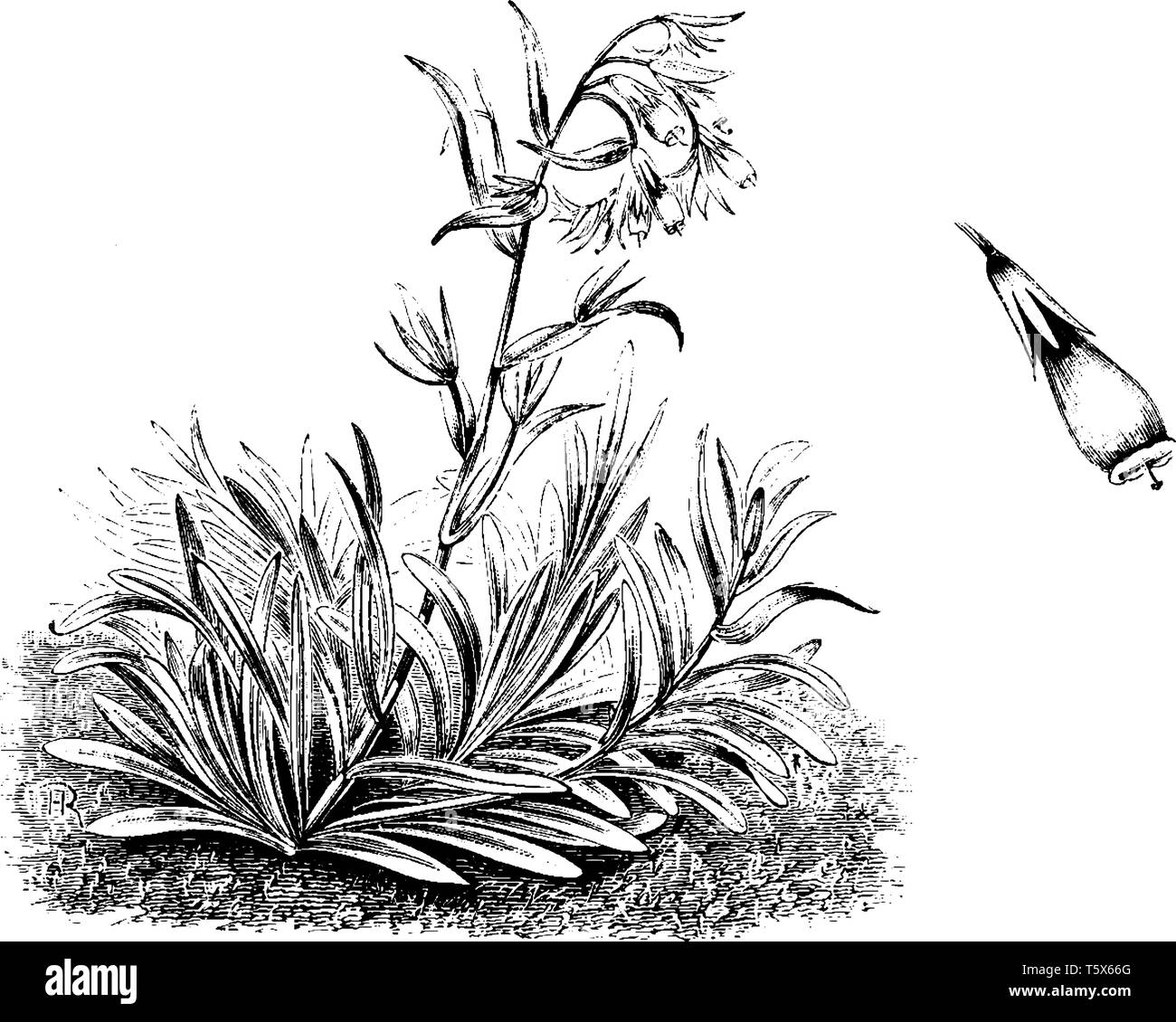 Name b Stock Vector Images - Alamy