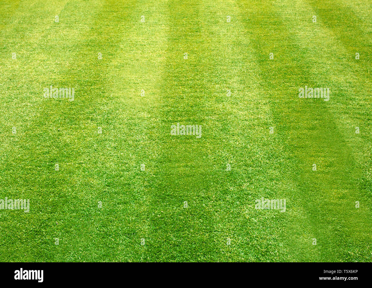 The horizontal natured green grass field texture backdrop background ...