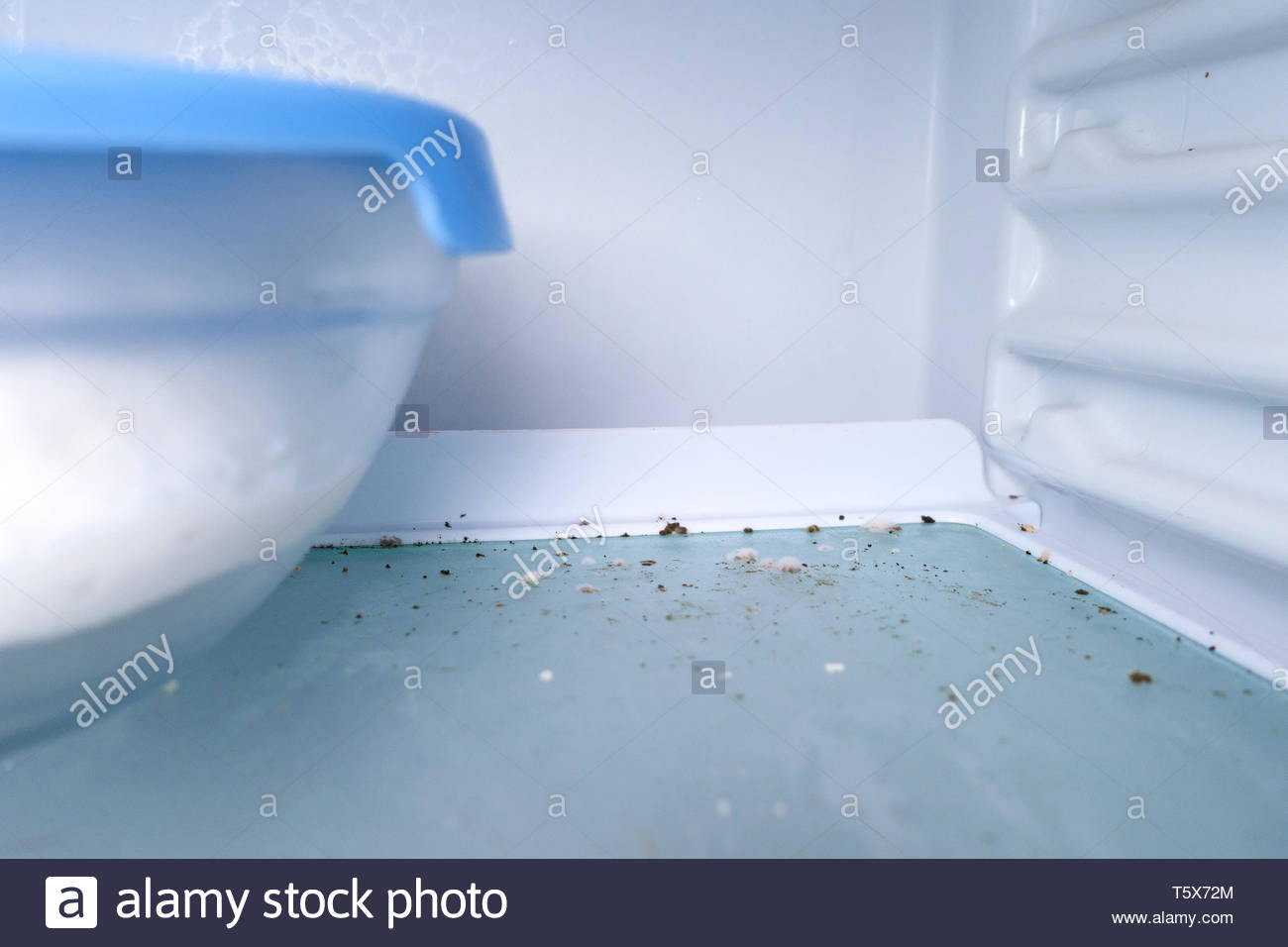 Food Fridge Mouldy Stock Photos & Food Fridge Mouldy Stock Images - Alamy