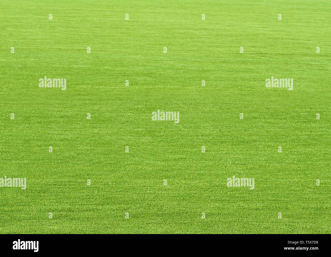 The horizontal natured green grass field texture backdrop background ...