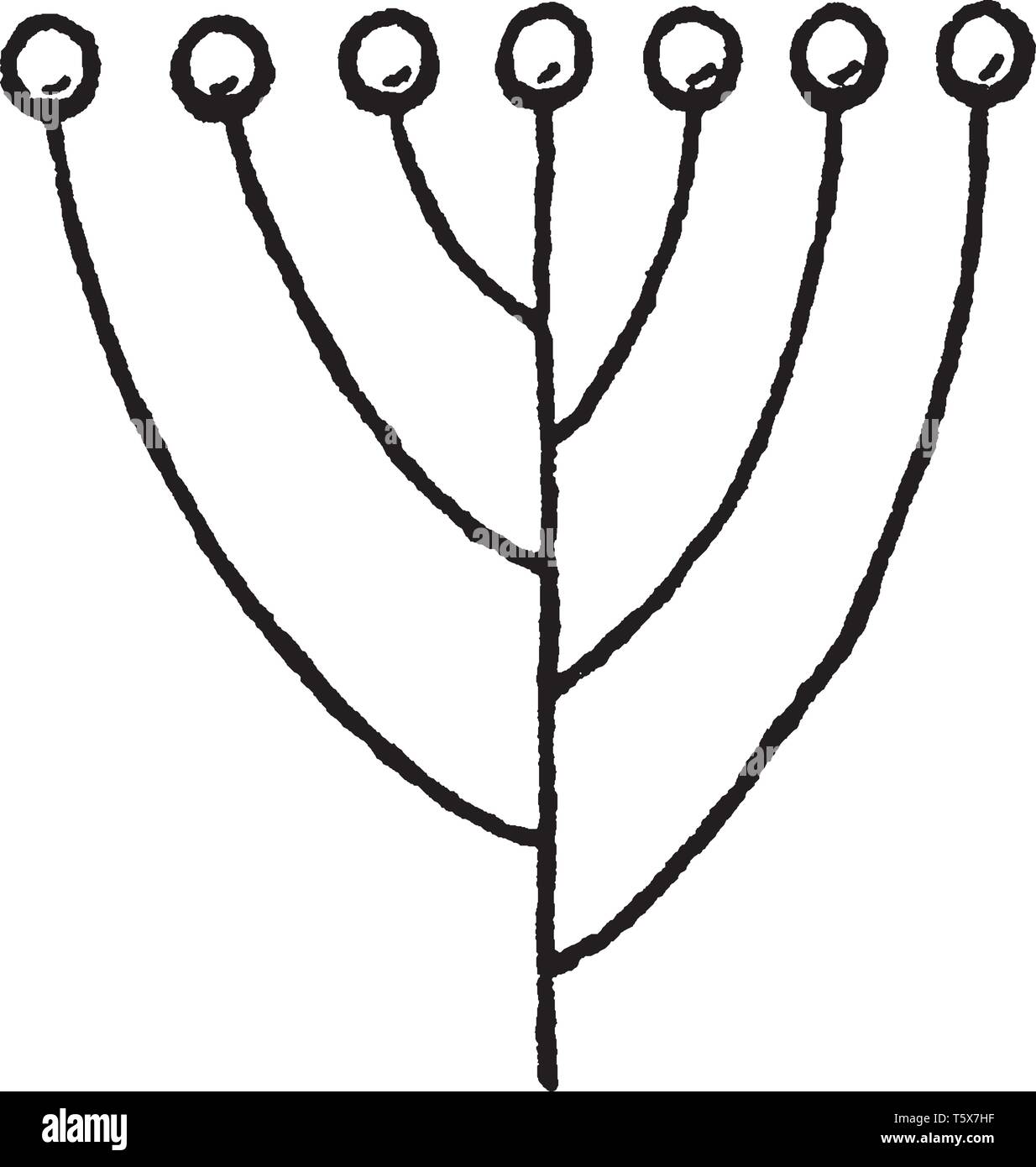 Corymb Stock Vector Images - Alamy