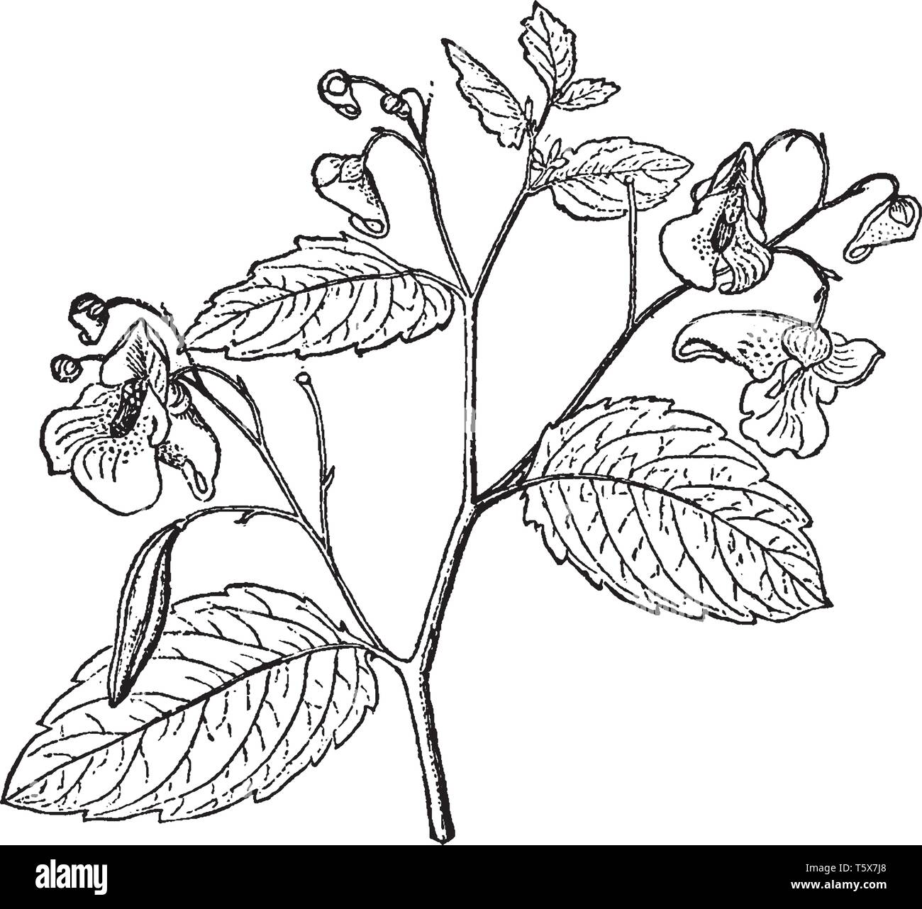 On same branch Stock Vector Images - Alamy