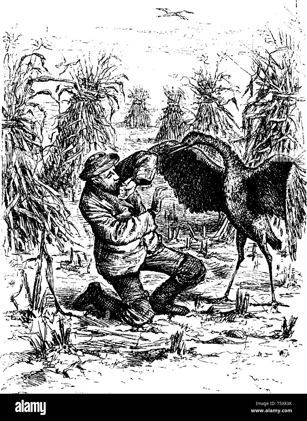 A crane bird attacking on a man, vintage line drawing or engraving ...