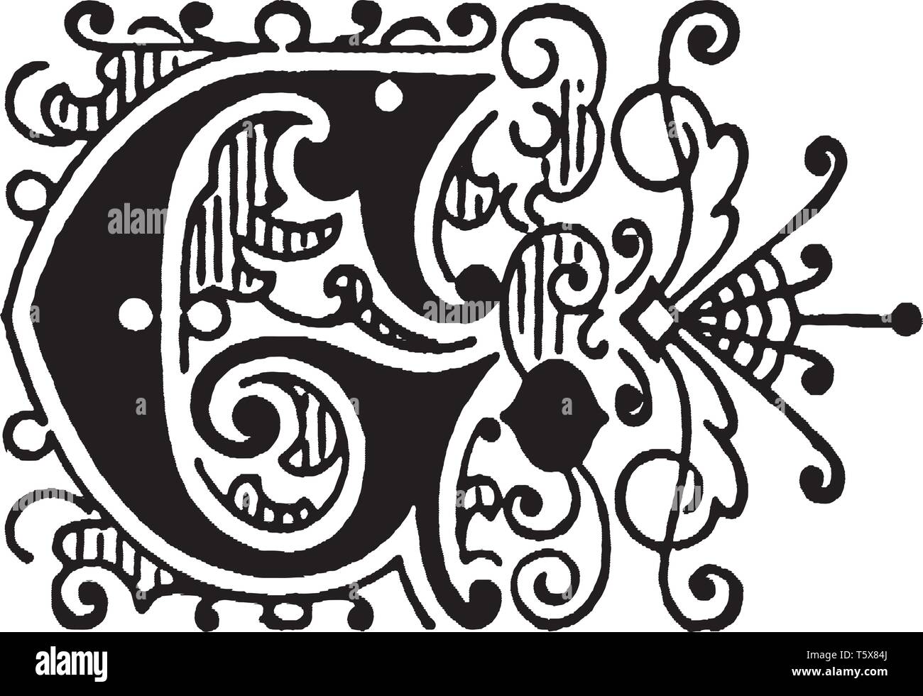 An ornamental and decorative capital letter G, vintage line drawing or ...