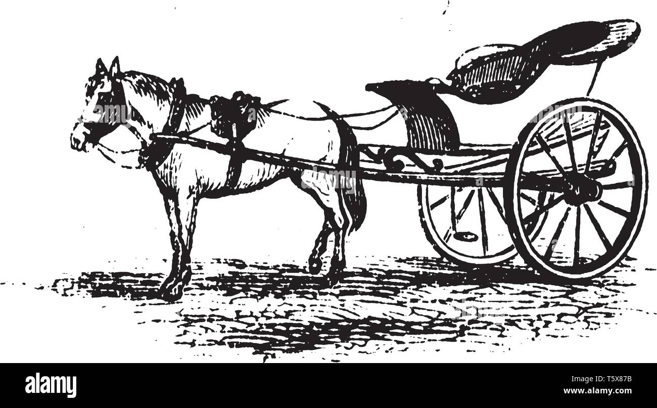 Caleche is a light low wheeled carriage with a removable folding hood ...